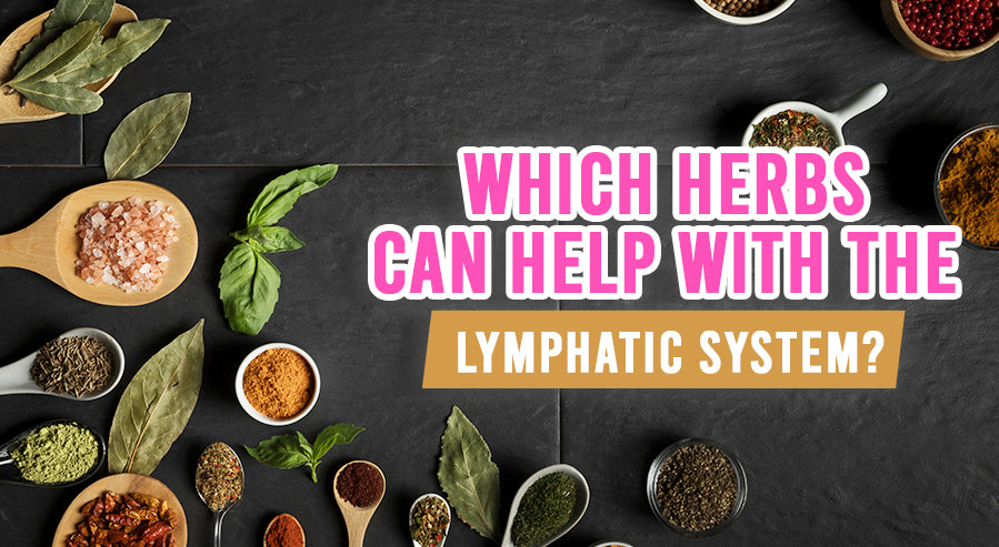 FAQ: Which Herbs Can Help With the Lymphatic System?