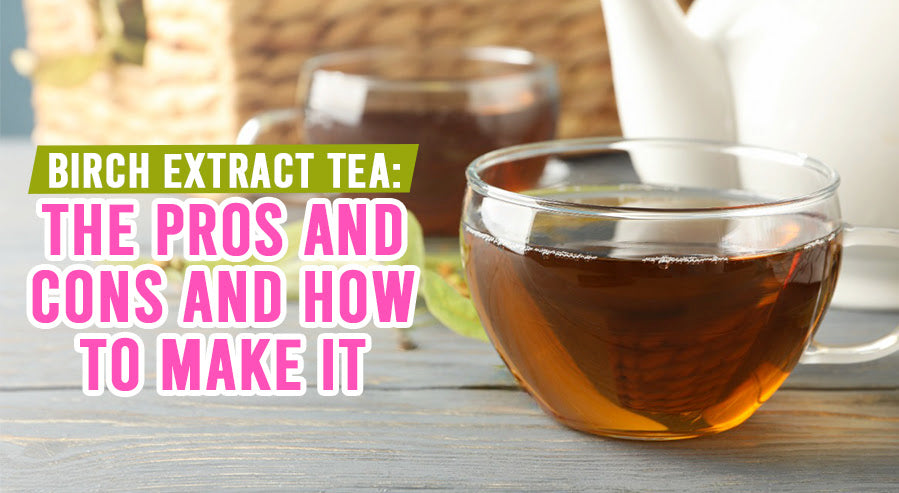 Birch Extract Tea: The Pros and Cons and How to Make It