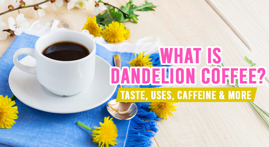 What is Dandelion Coffee? Taste, Uses, Caffeine & More
