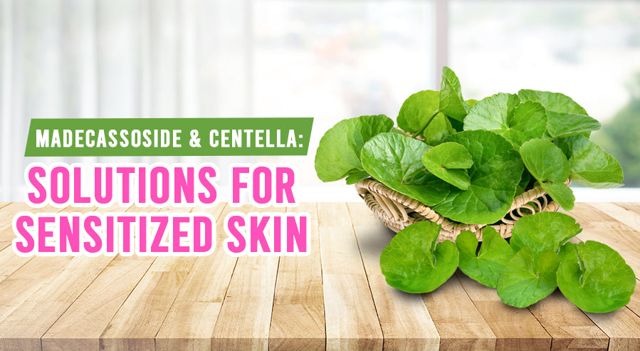 Madecassoside & Centella: Solutions for Sensitized Skin