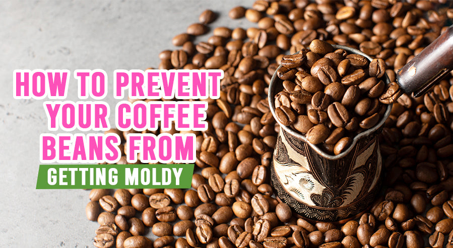 Guide: How to Prevent Your Coffee Beans From Getting Moldy