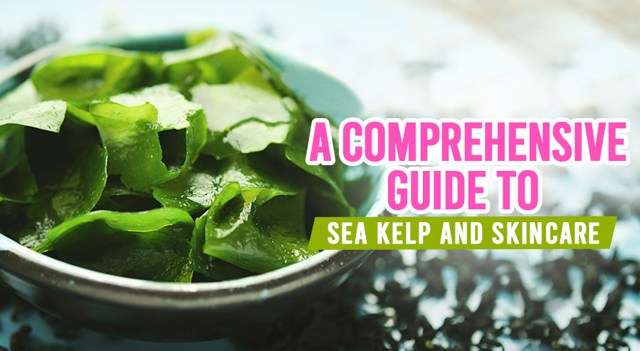 A Comprehensive Guide to Sea Kelp and Skincare