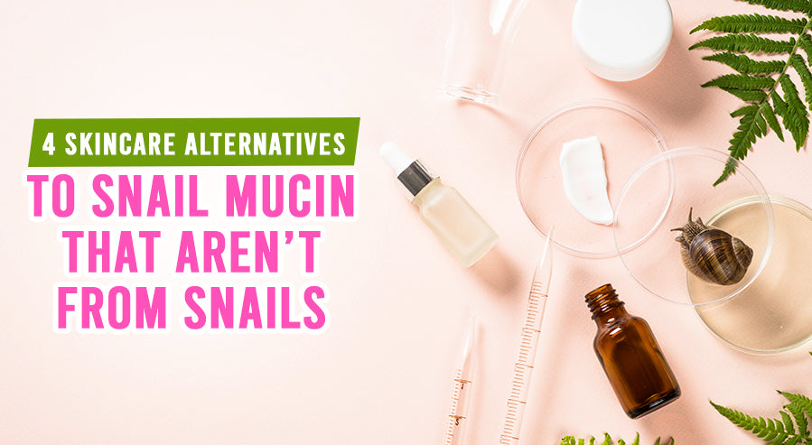 4 Skincare Alternatives to Snail Mucin That Aren't From Snails 4 Skincare Alternatives to Snail Mucin That Aren't From Snails