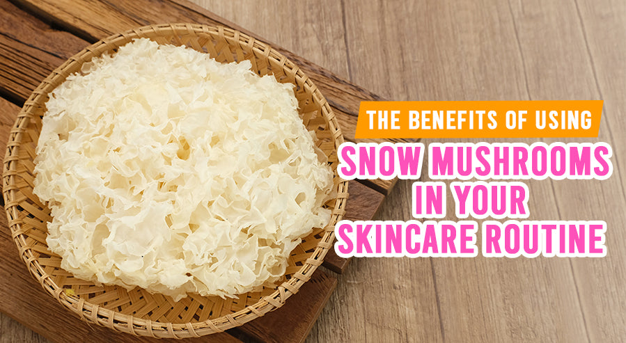 The Benefits of Using Snow Mushrooms in Your Skincare Routine