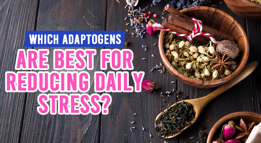 Which Adaptogens Are Best for Reducing Daily Stress?