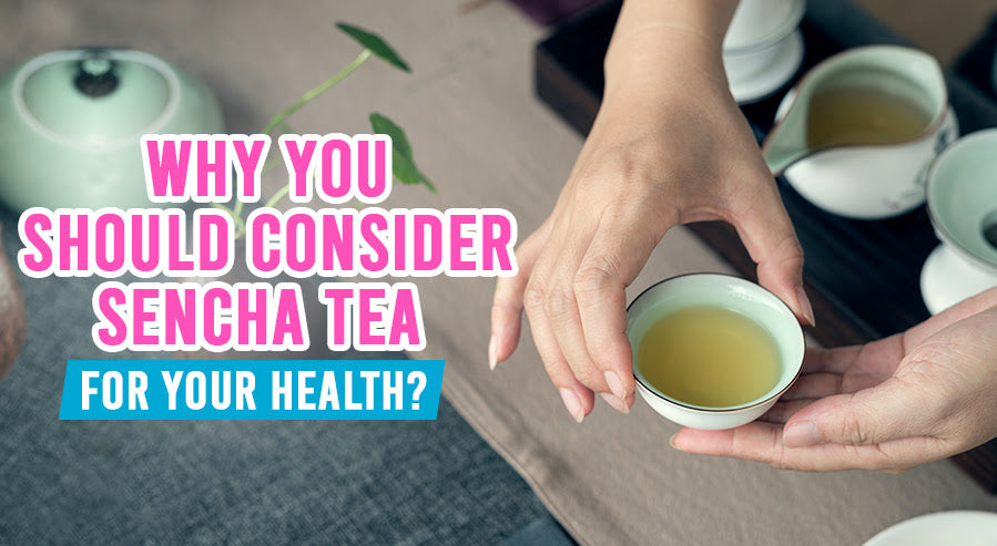 Guide: Why You Should Consider Sencha Tea for Your Health?